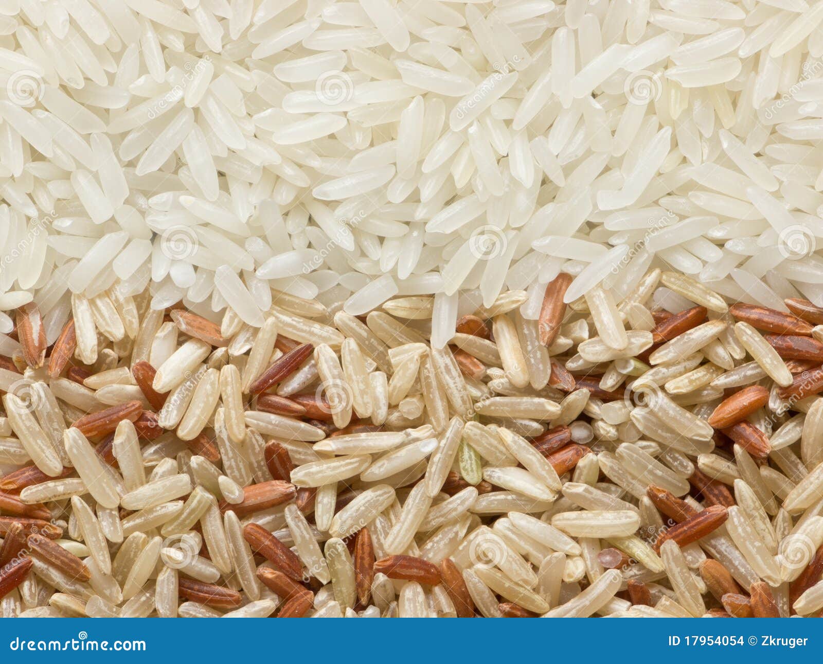 Polished and Unpolished Rice Stock Photo - Image of vegetable, white ...