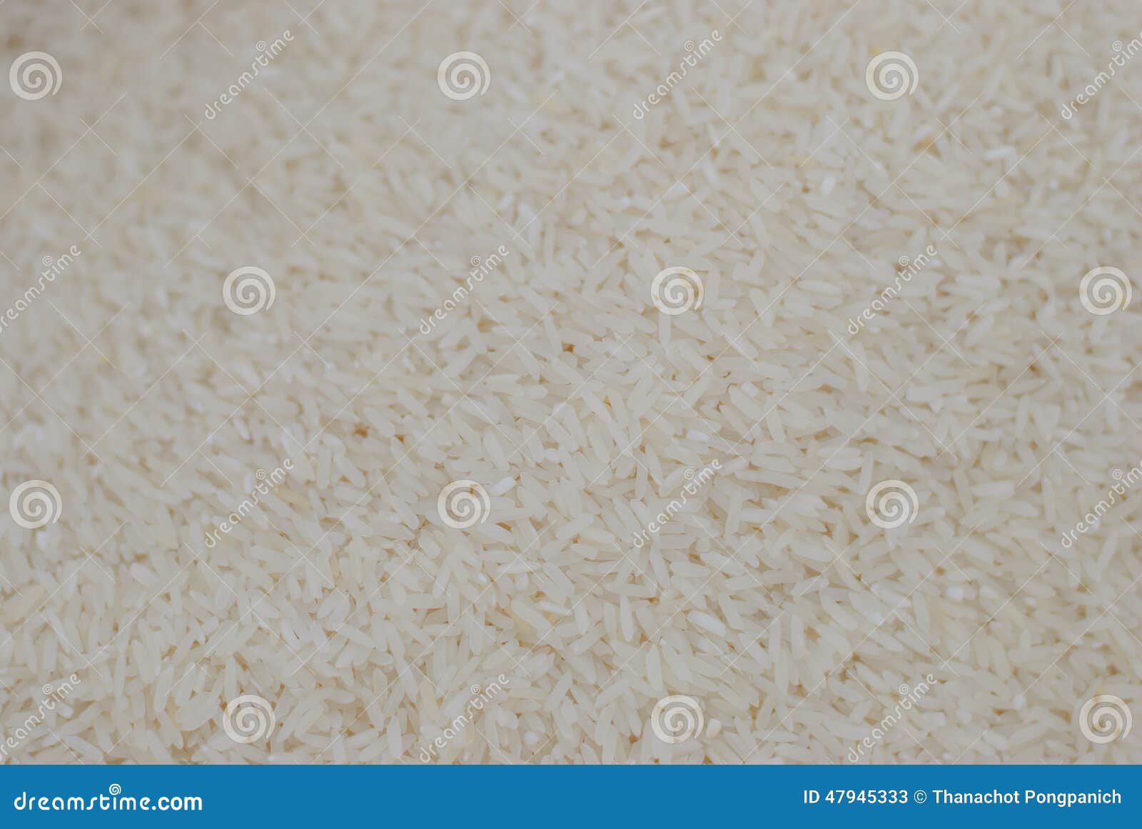 Polished white rice stock image. Image of asian, plant - 47945333