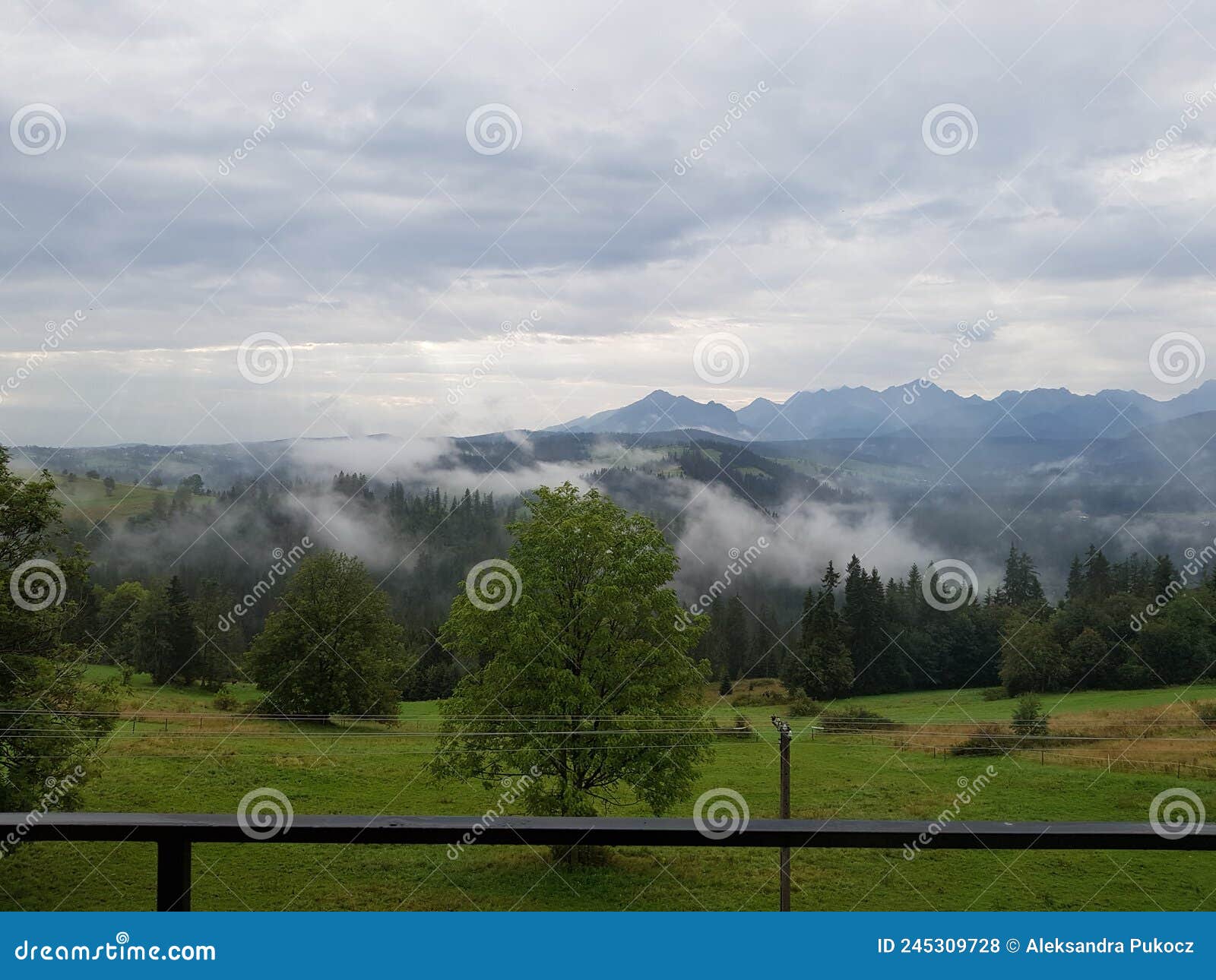 Cloudy Sky And Trees Forrest Reflection At Water Surface As Seen From ...