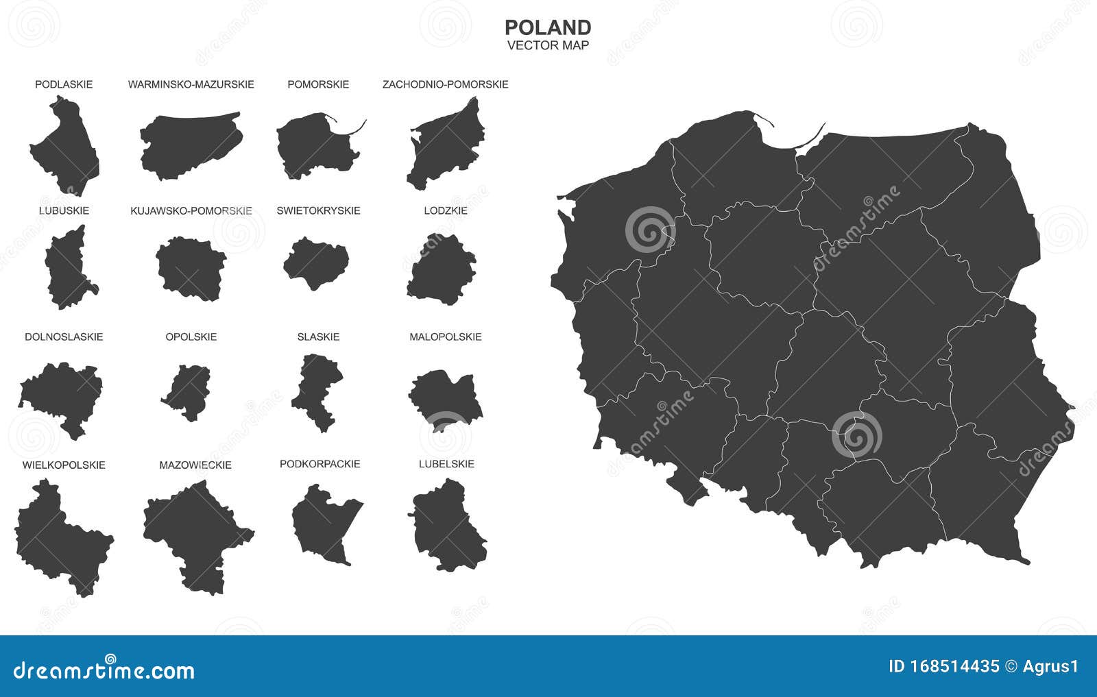 Political Map Of Poland With Borders With Borders Of Regions Vector ...