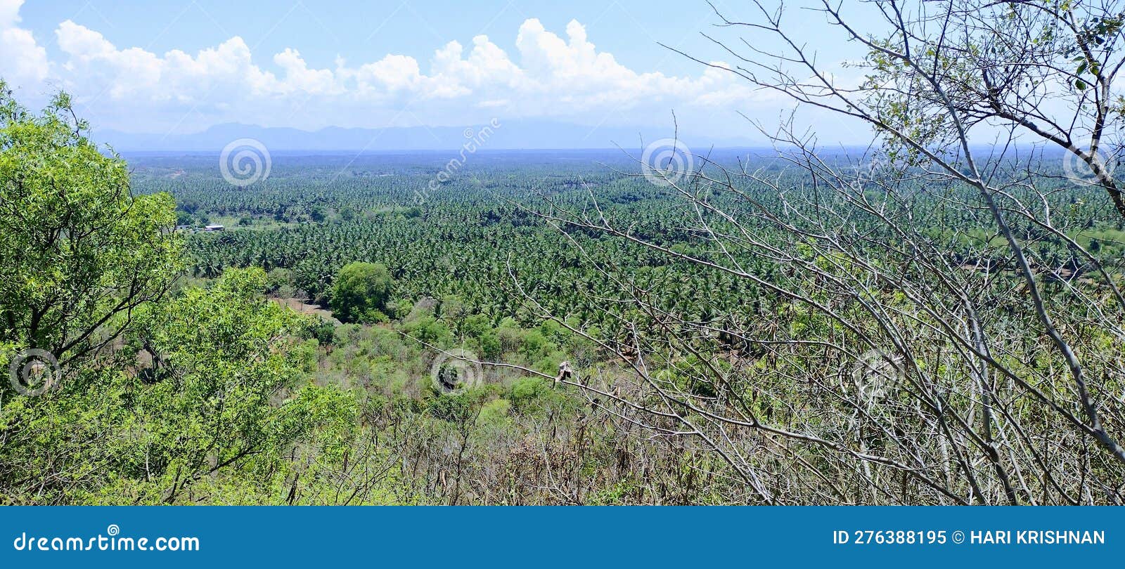 Pollachi Side Summer View Point Stock Image - Image of pollachi, side ...