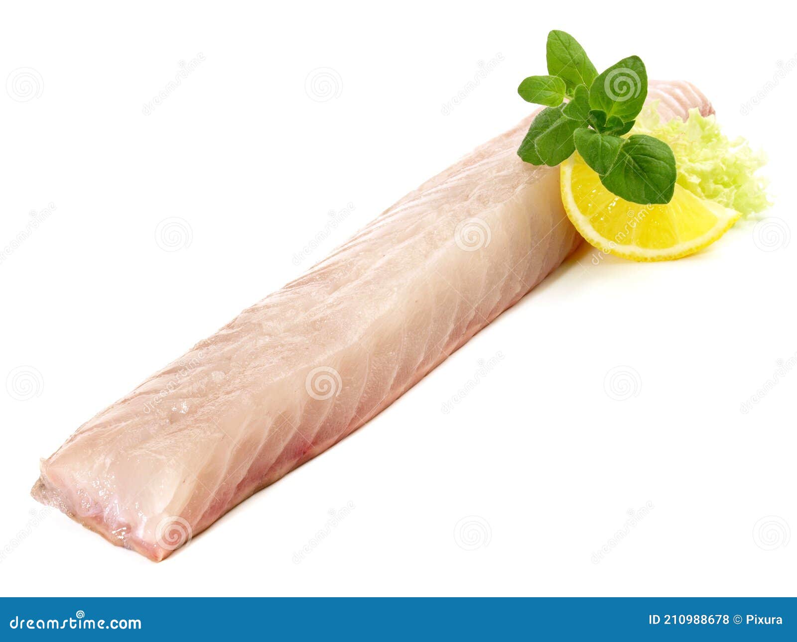 Pollack Loin - Fish Raw Isolated Stock Photo - Image of saltwater ...