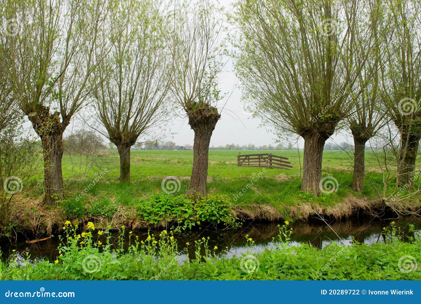 Landscape With Pollard Willows | atelier-yuwa.ciao.jp