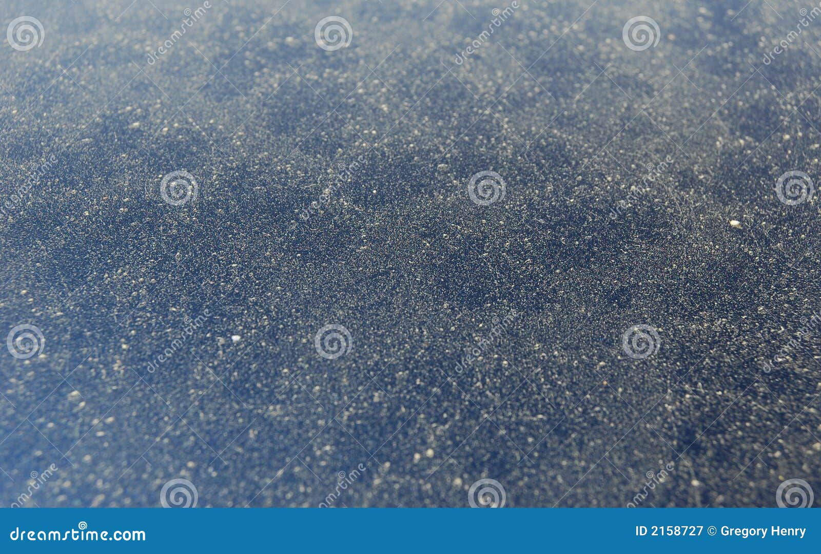 Pollen stock image. Image of dirty, powder, pollen, allergic - 2158727