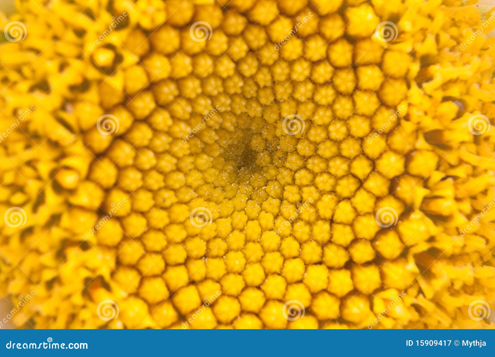 Pollen abstract stock image. Image of beautiful, life - 15909417