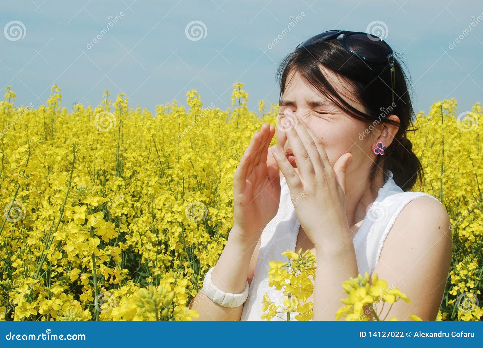 Pollen allergy stock photo. Image of agricultural, bright - 14127022