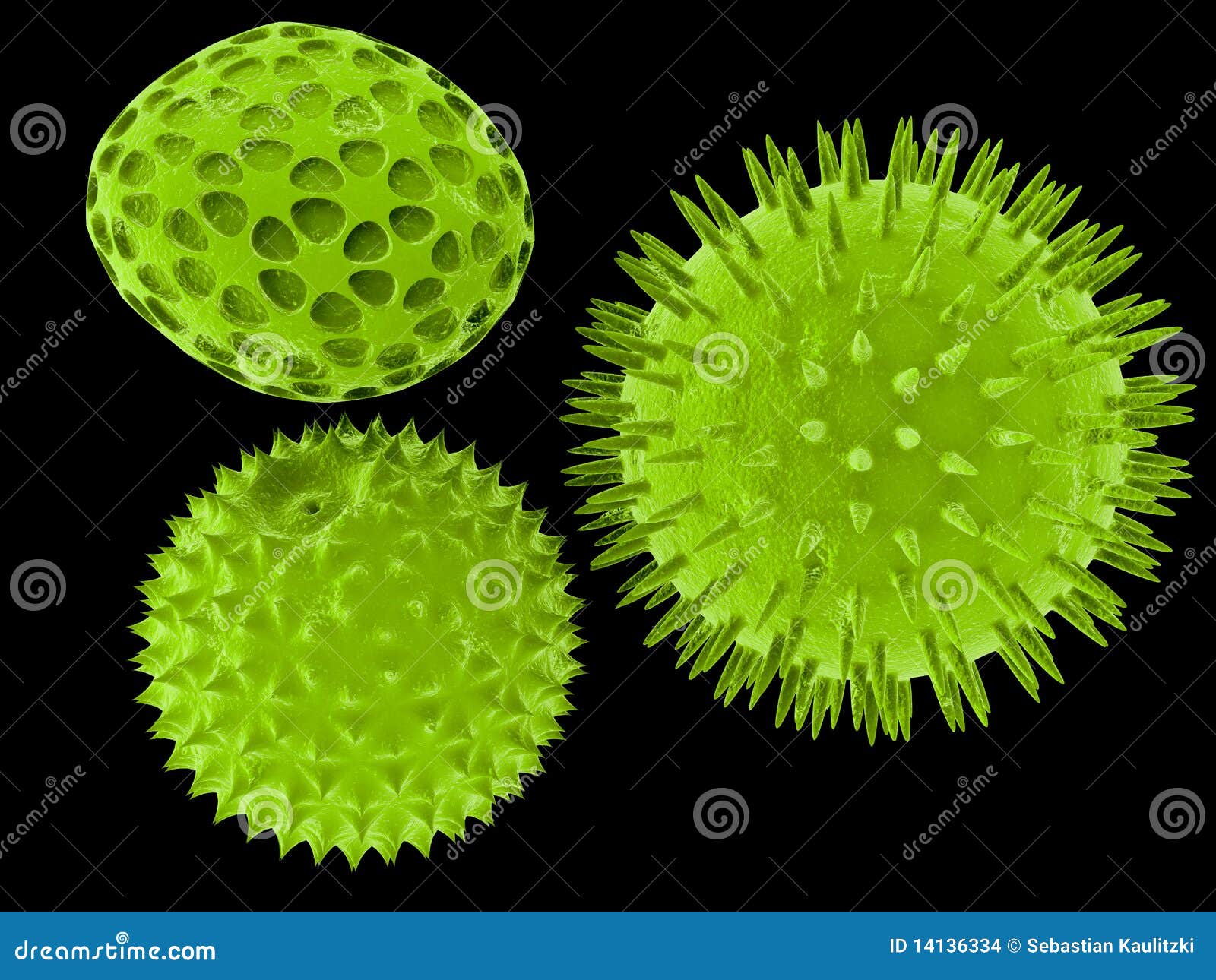 Pollen close up stock illustration. Illustration of human - 14136334