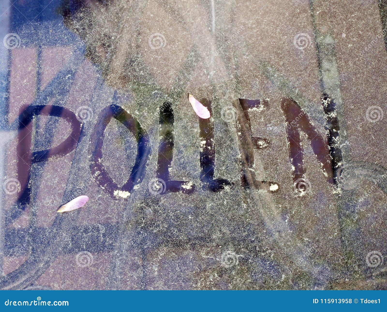 Pollen stock photo. Image of green, spore, table, allergies - 115913958