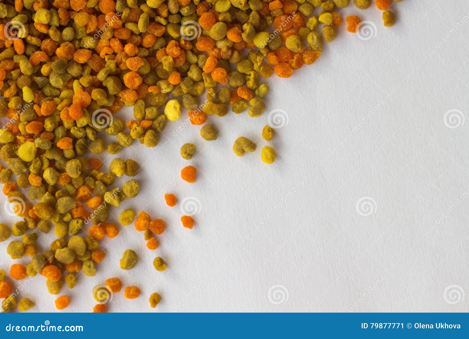 Pollen of Different Colors Close Up. Background Stock Image - Image of ...