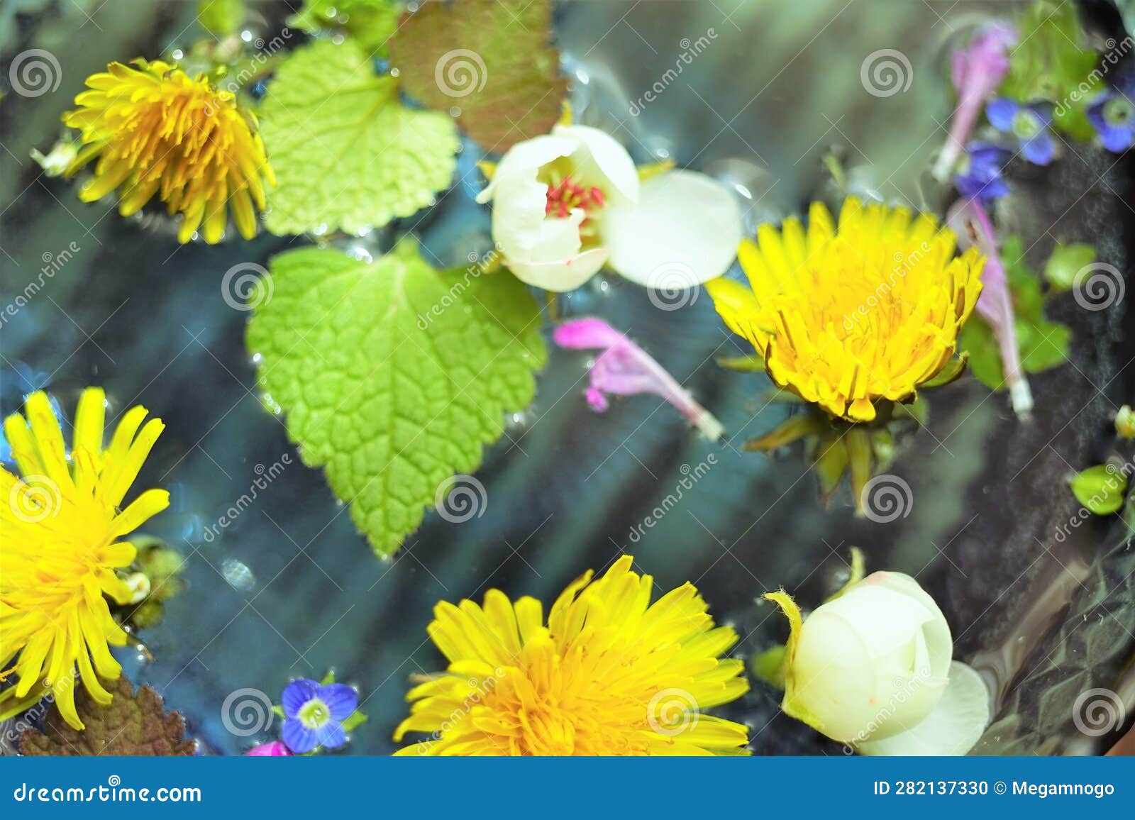Pollen Flowers and Leaves Float in the Water Stock Photo - Image of ...