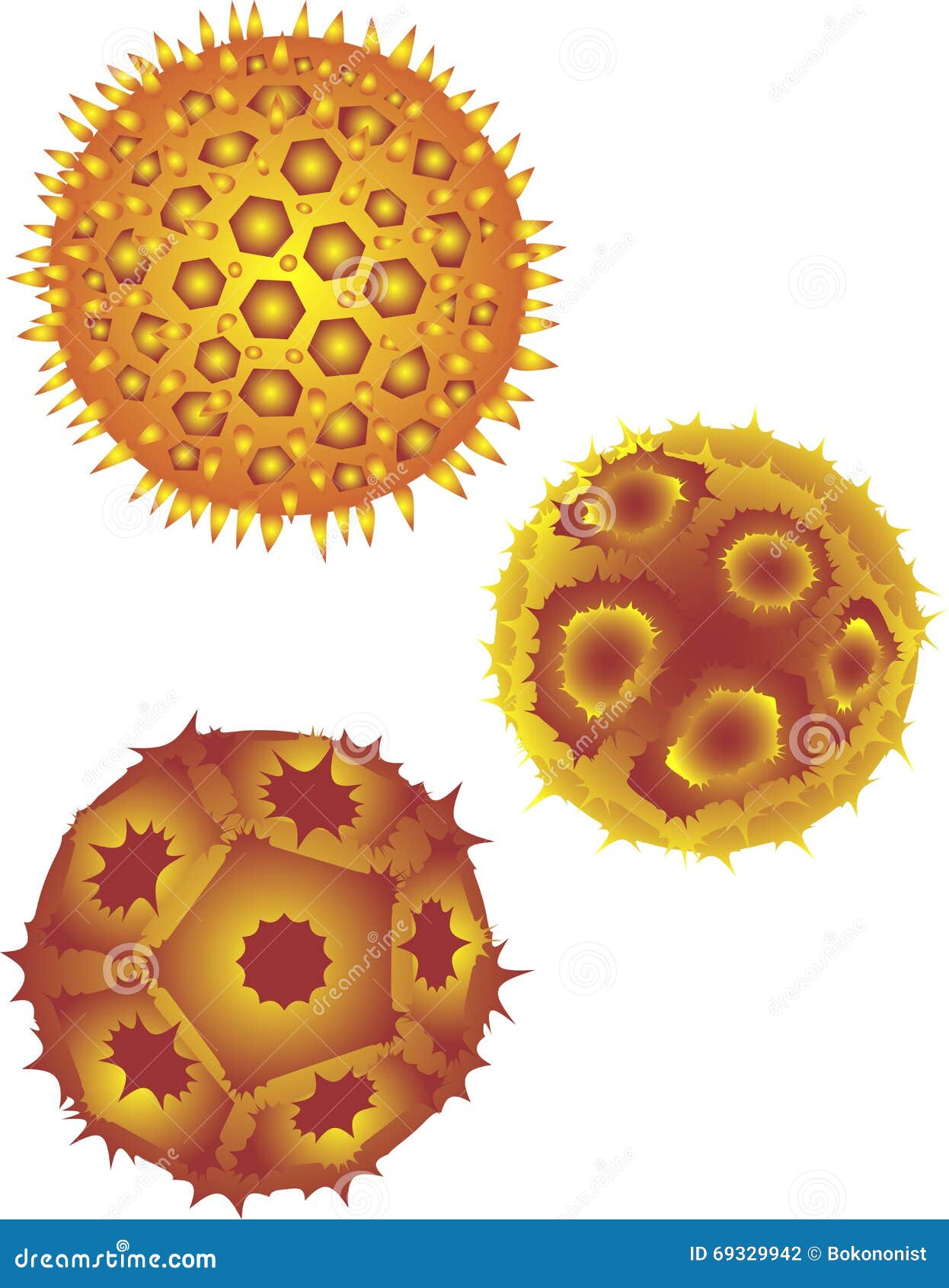 Pollen grains stock vector. Illustration of science, fever - 69329942