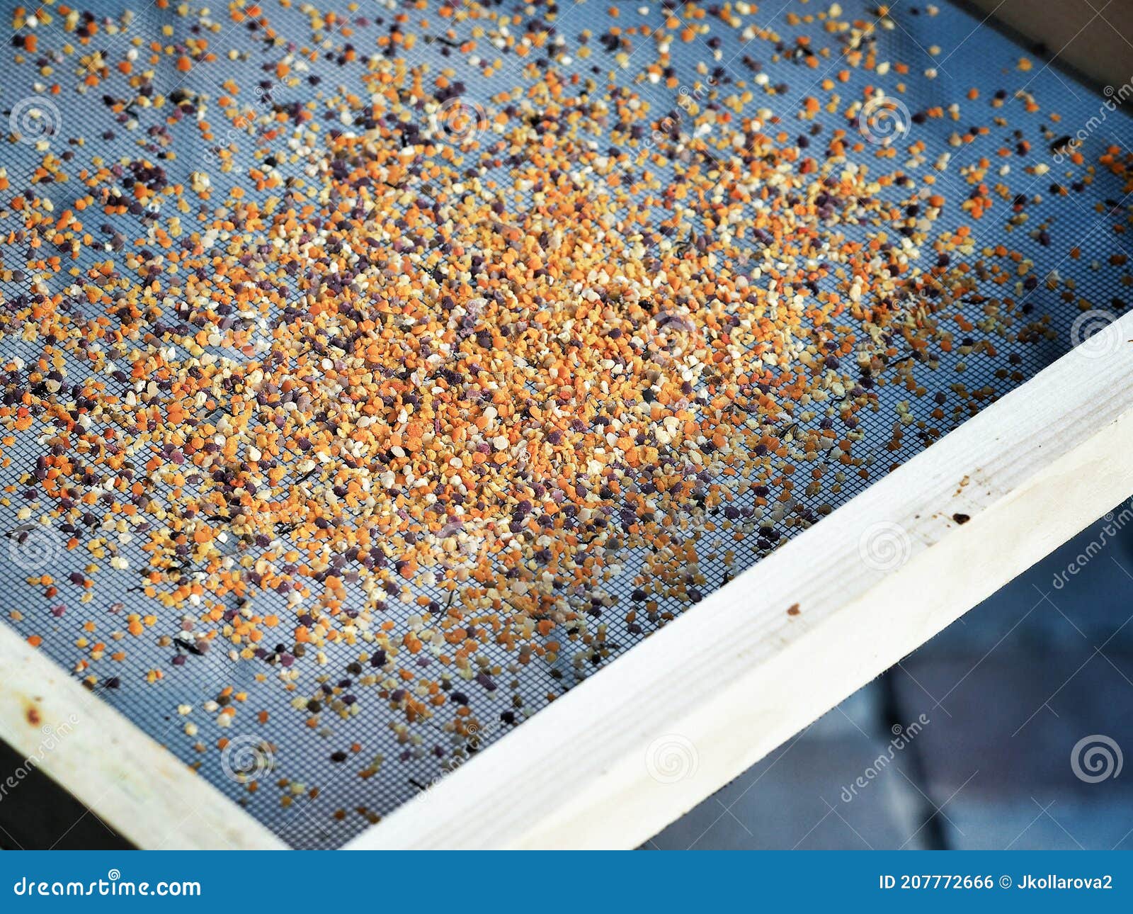 Pollen Grains on Wooden Frame with Filter Stock Photo - Image of ...