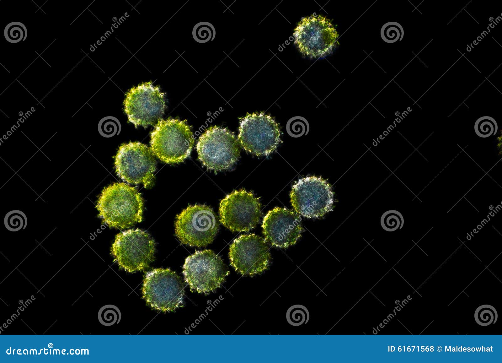 Pollen stock photo. Image of uncomfortable, allergy, microscopic - 61671568
