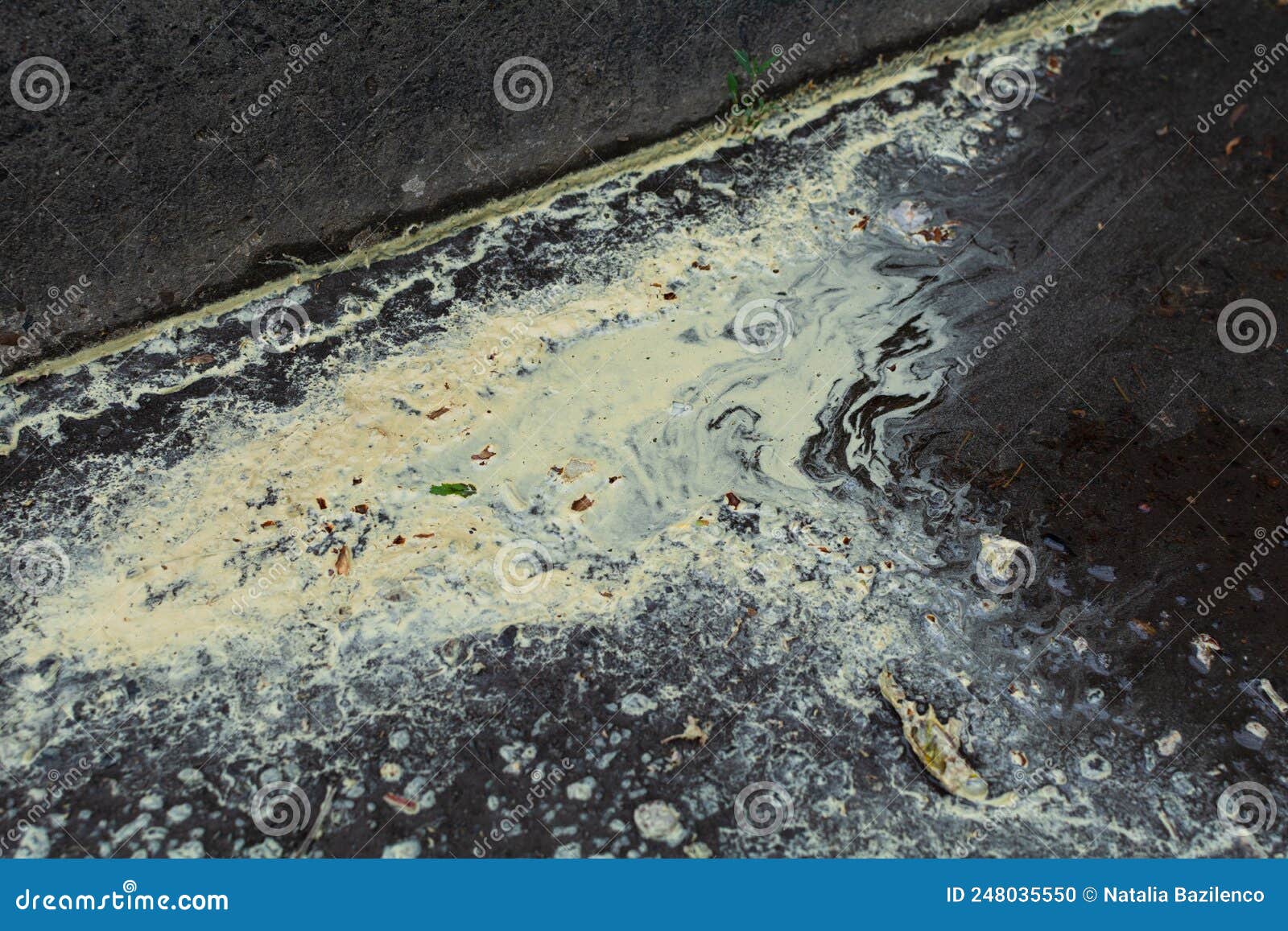 Pollen in a Puddle on the Ground after Rain Stock Photo - Image of ...