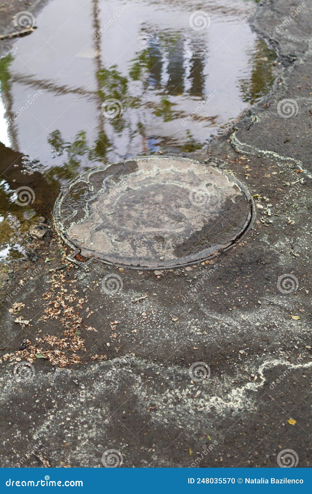 Pollen in a Puddle on the Ground after Rain Stock Photo - Image of ...