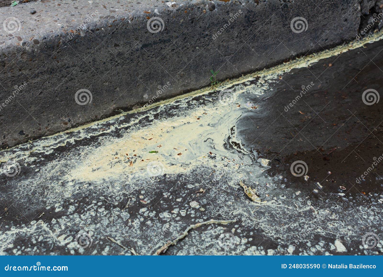 Pollen in a Puddle on the Ground after Rain Stock Photo - Image of ...