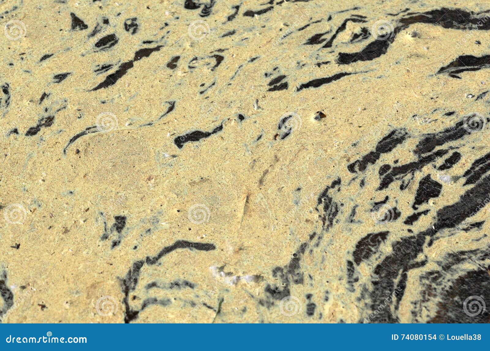 Pollen Scum Floating on Salt Water Stock Photo - Image of muck, strands ...