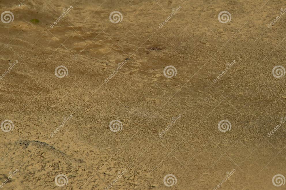 Pollen on the Surface of the Water in the Spring Stock Image - Image of ...