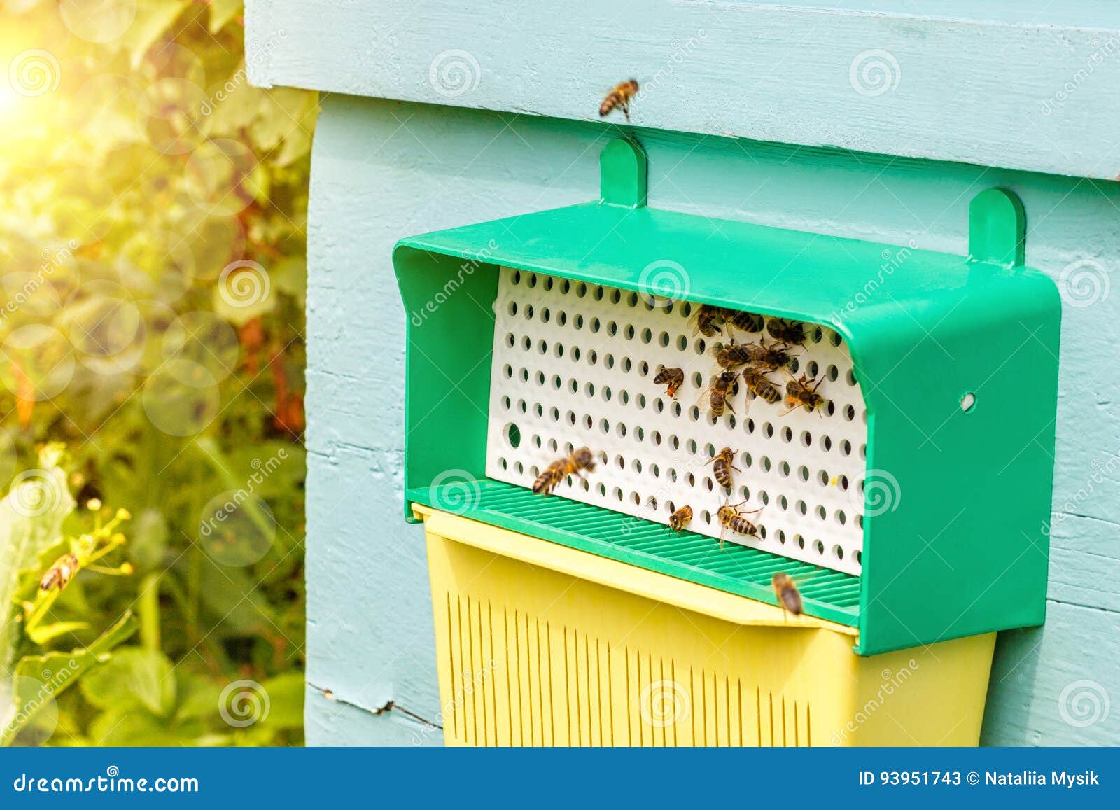Pollen Trap for Collecting Pollen Pellets . Stock Image - Image of ...