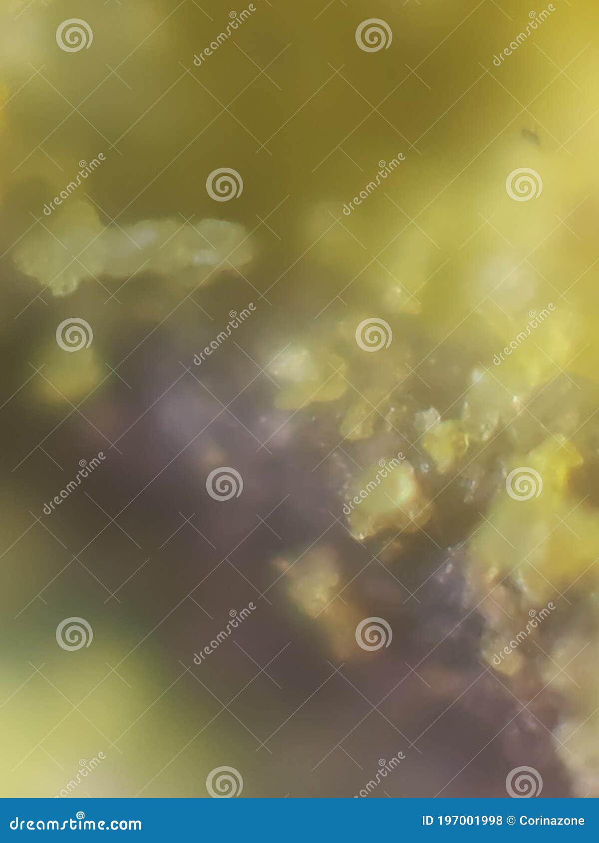 Pollen Under the Microscope Stock Photo - Image of microscopy, biology ...