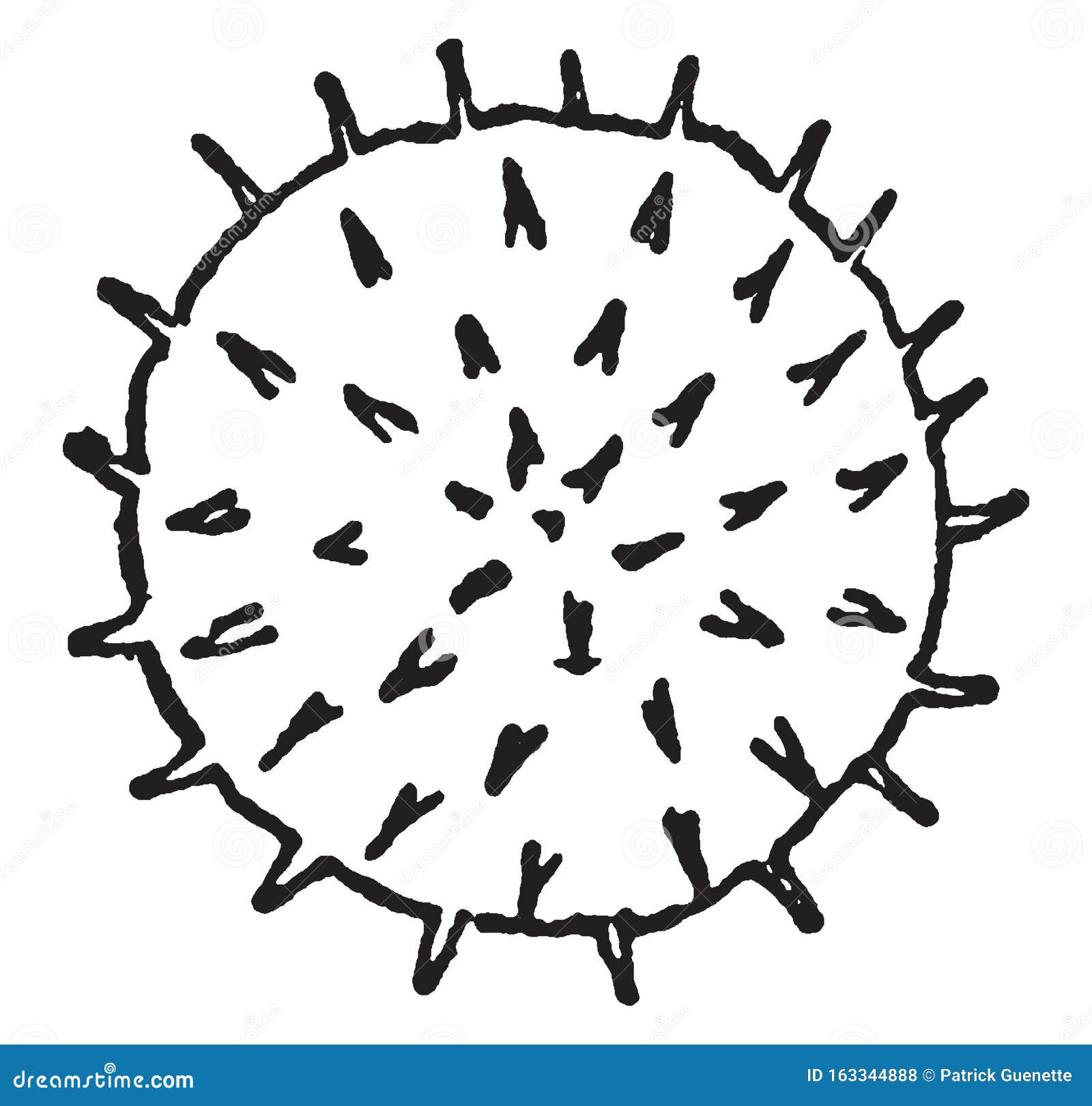 Pollen Vintage Illustration Cartoon Vector | CartoonDealer.com #163343761