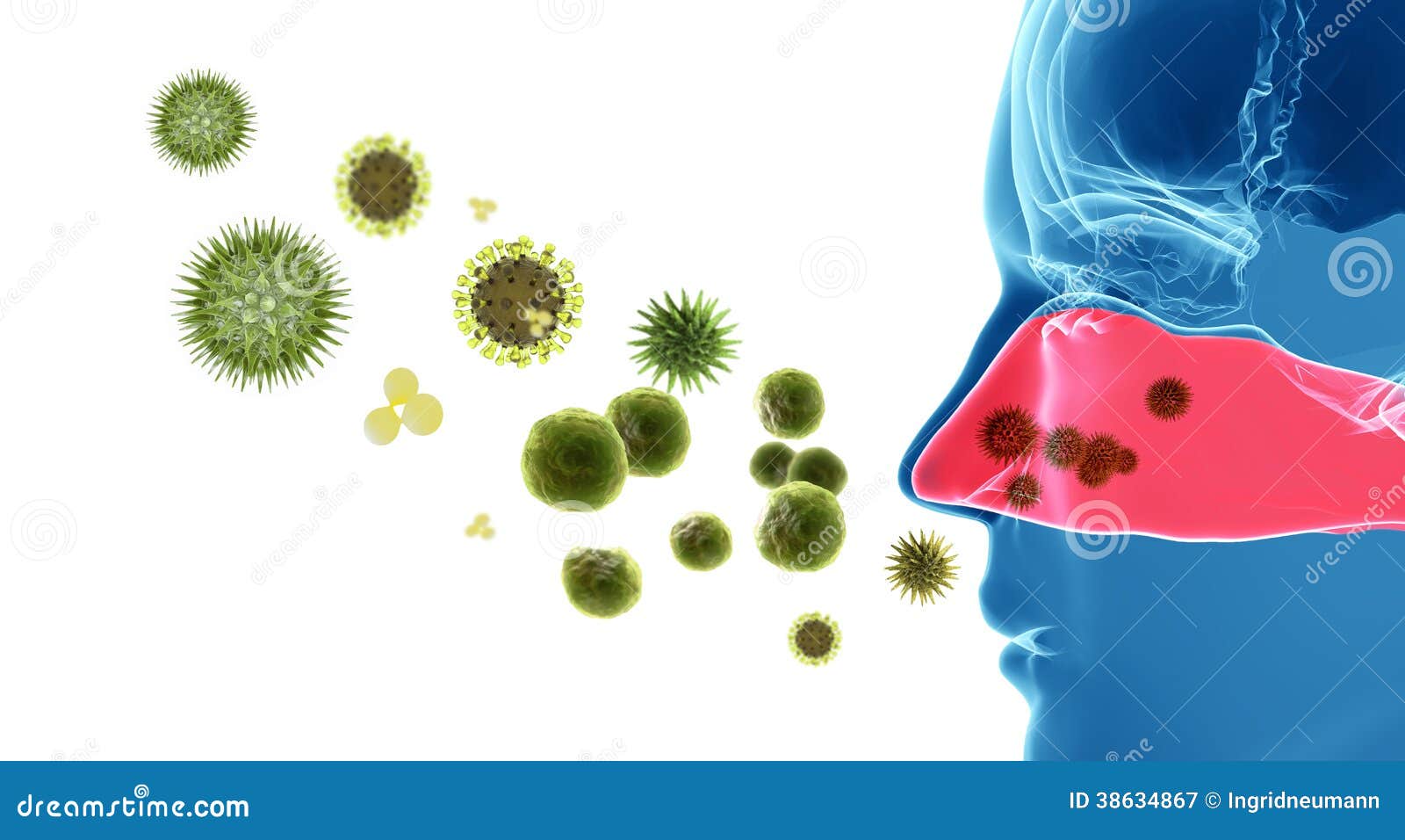 Pollenallergie/Heuschnupfen Stock Abbildung - Illustration von raum ...