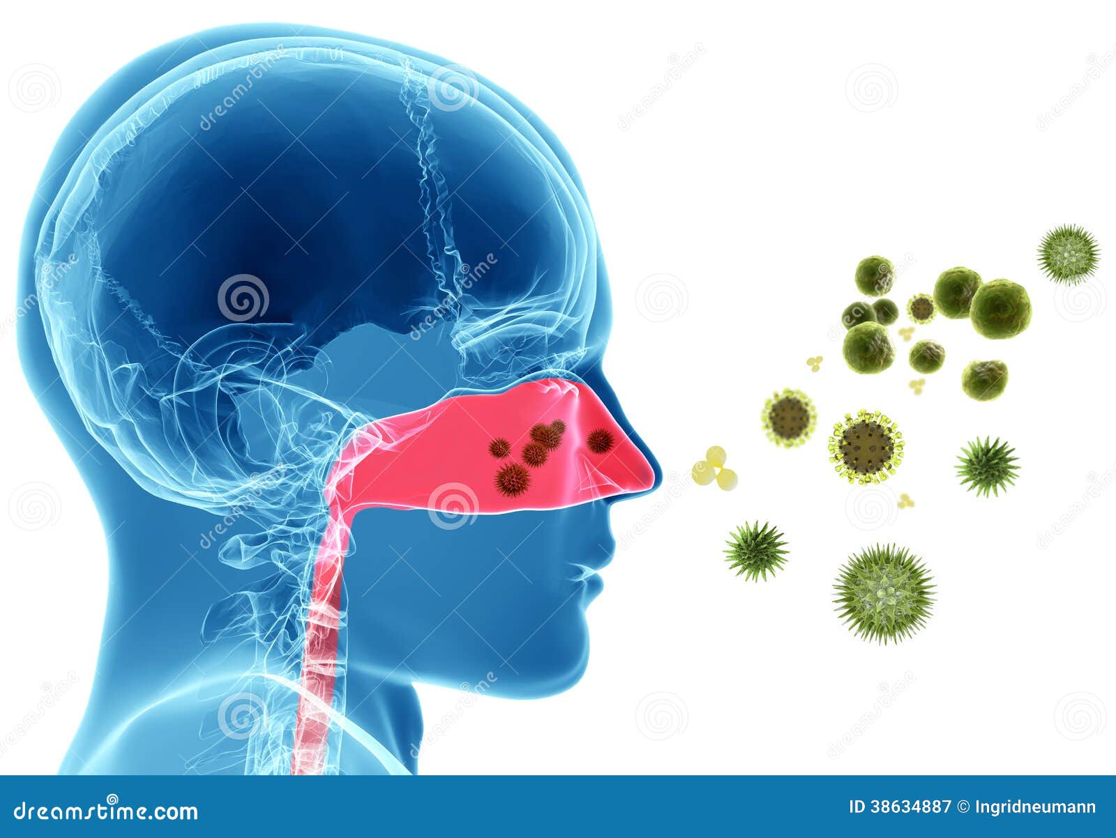 Pollenallergie/Heuschnupfen Lizenzfreie Stockfotografie - Bild: 38634887