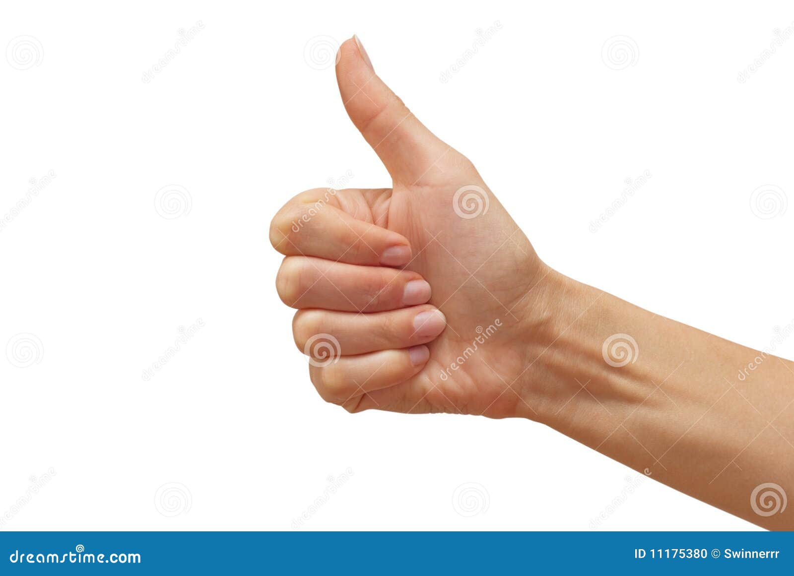 Pollice in su fotografia stock. Immagine di pollice, caucasico - 11175380