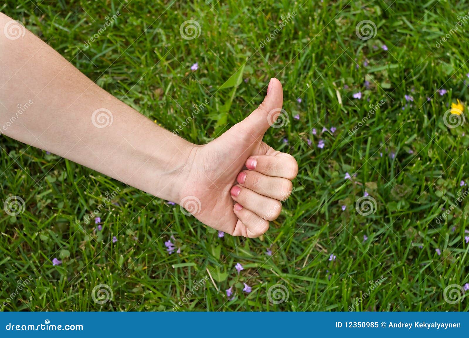 Pollice in Su Su Erba Verde Immagine Stock - Immagine di nessuno ...