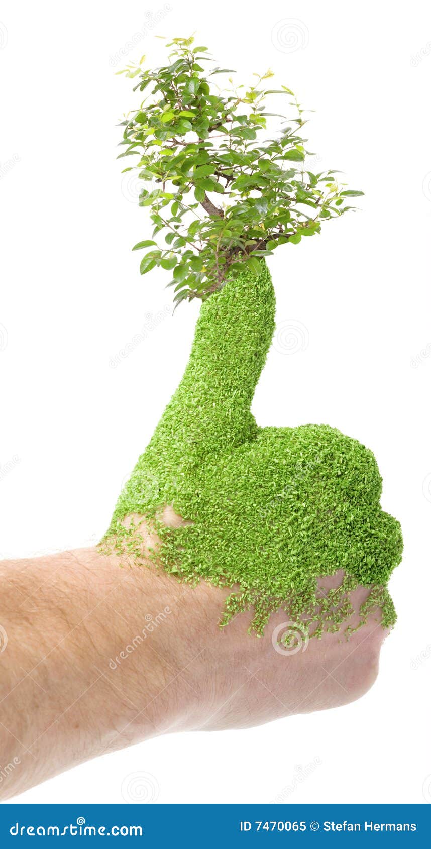 Pollice verde immagine stock. Immagine di verde, umano - 7470065