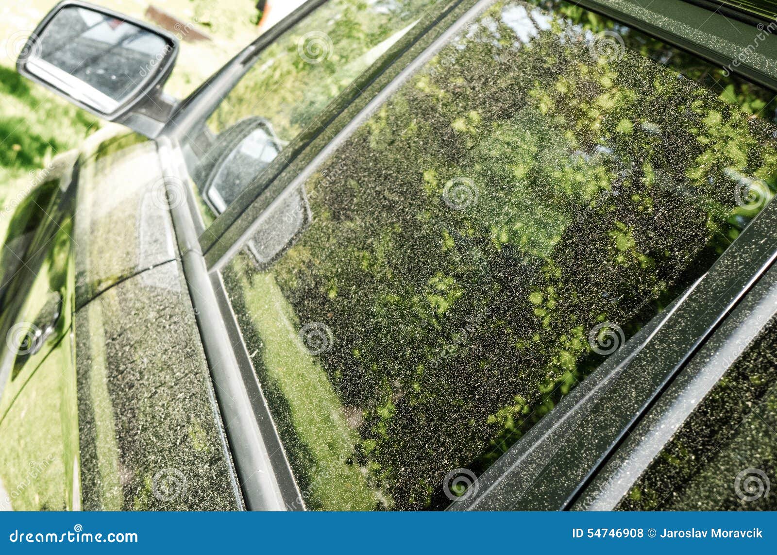 Polline sull'automobile fotografia stock. Immagine di stagione - 54746908