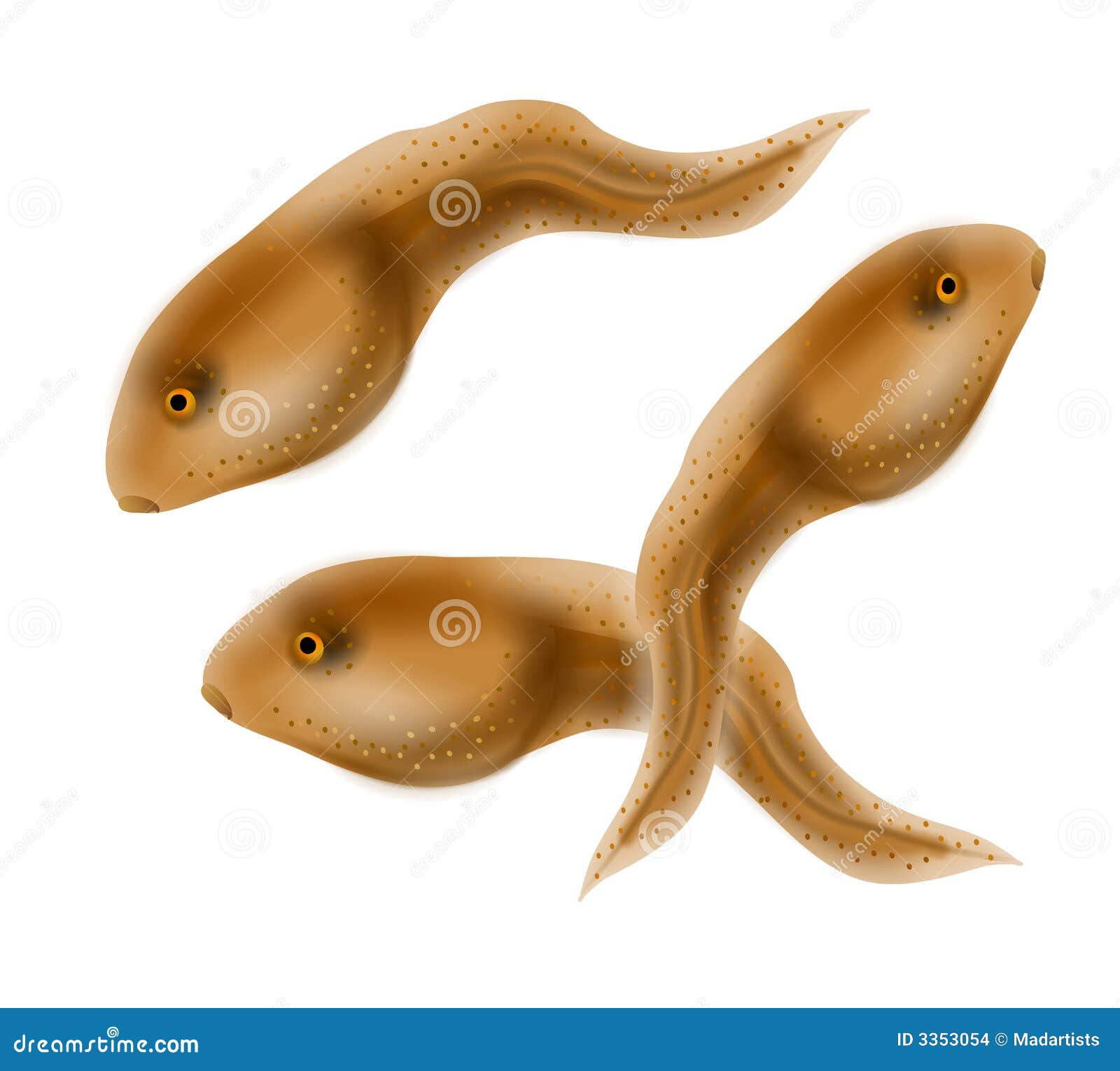 Polliwog Cartoons, Illustrations & Vector Stock Images - 145 Pictures ...