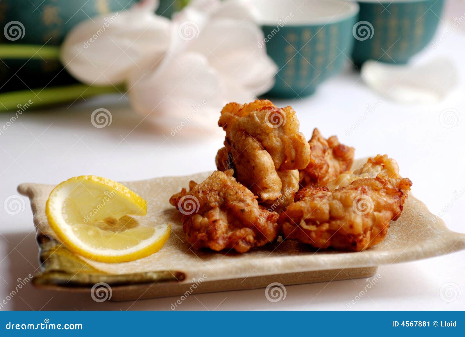 Pollo imagen de archivo. Imagen de asia, partido, asado - 4567881