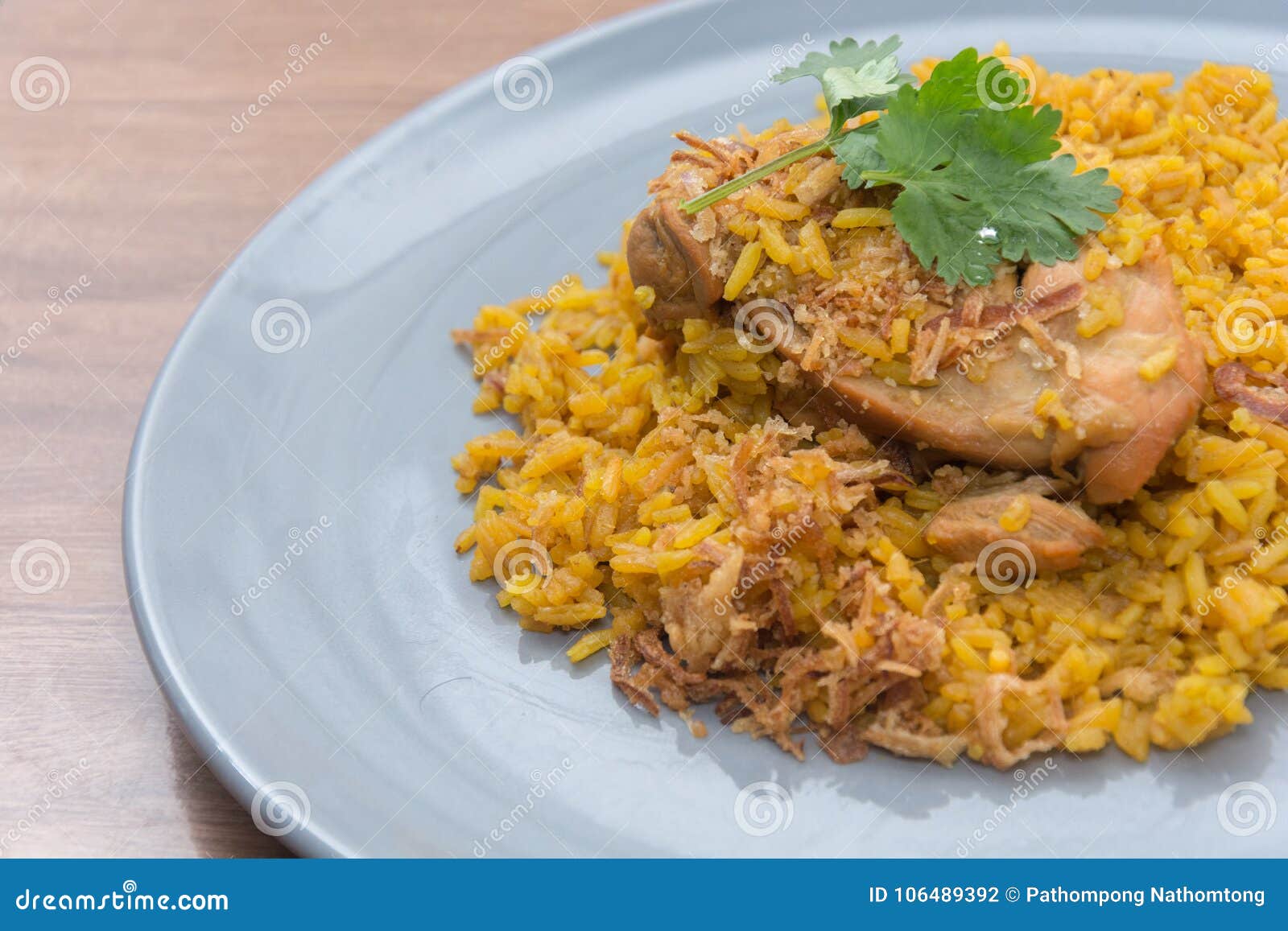 Pollo Biryani Con Arroz Y Salsa Foto de archivo - Imagen de delicioso ...