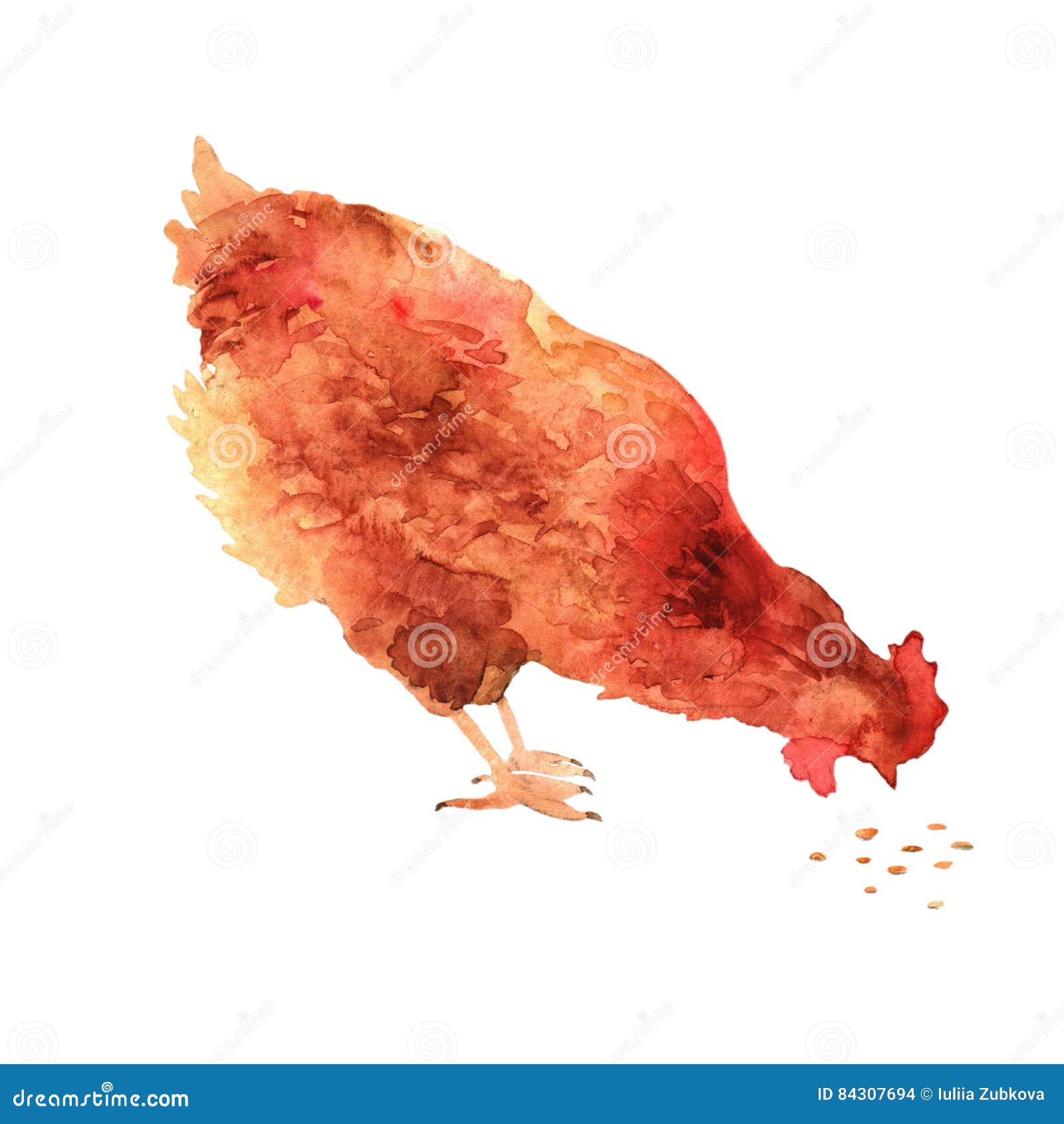 Pollo che becca grano illustrazione di stock. Illustrazione di umore ...