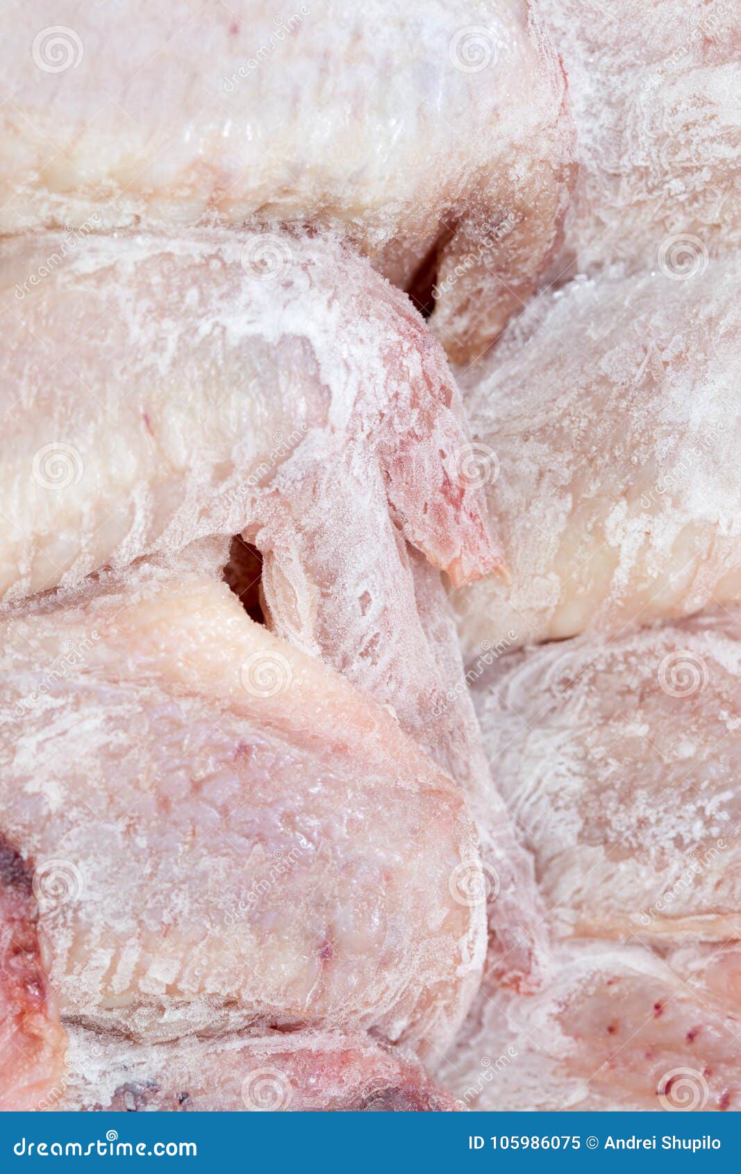 Pollo congelado como fondo imagen de archivo. Imagen de helada - 105986075