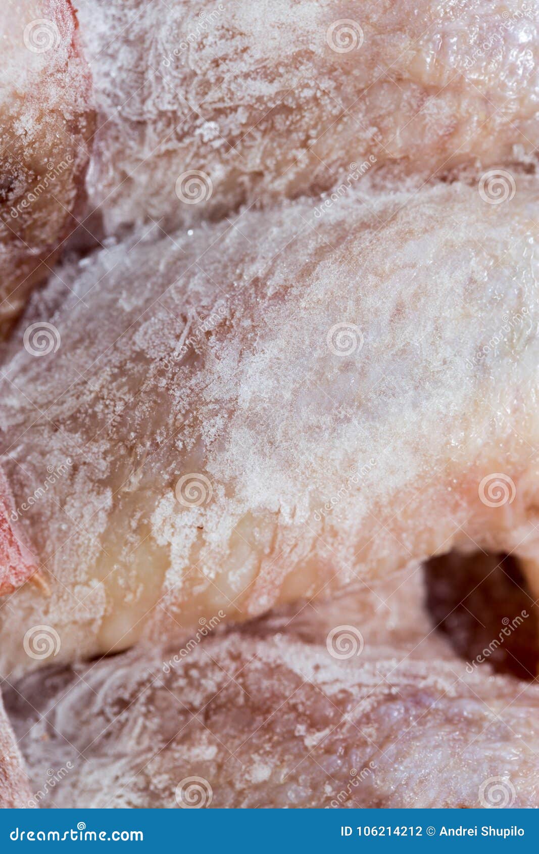 Pollo congelado como fondo foto de archivo. Imagen de bandeja - 106214212