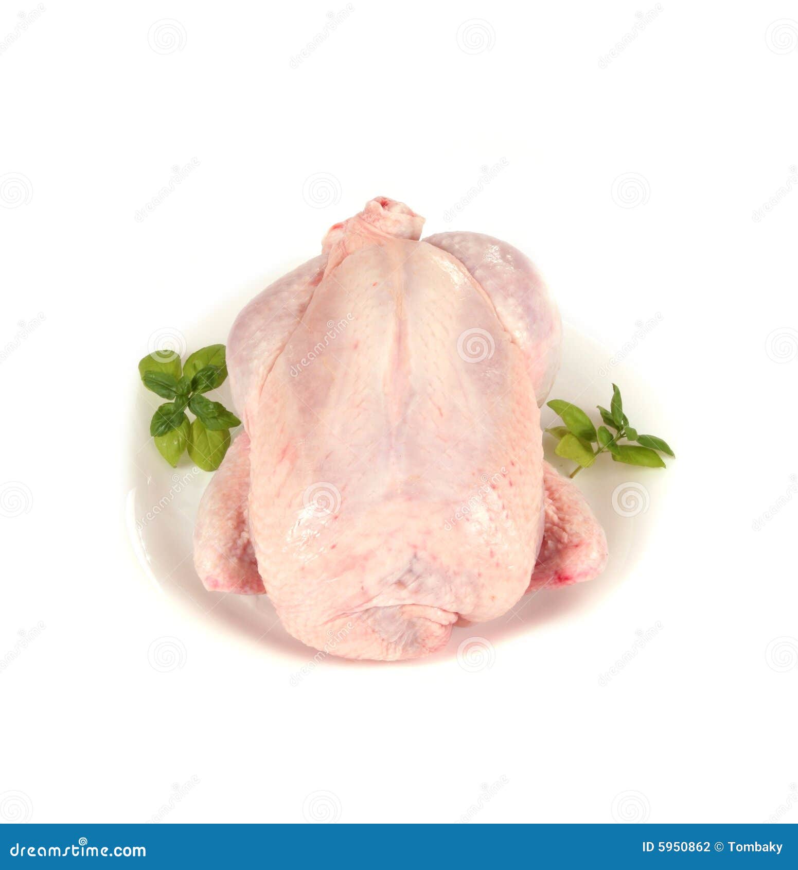 Pollo congelado fresco foto de archivo. Imagen de aislado - 5950862