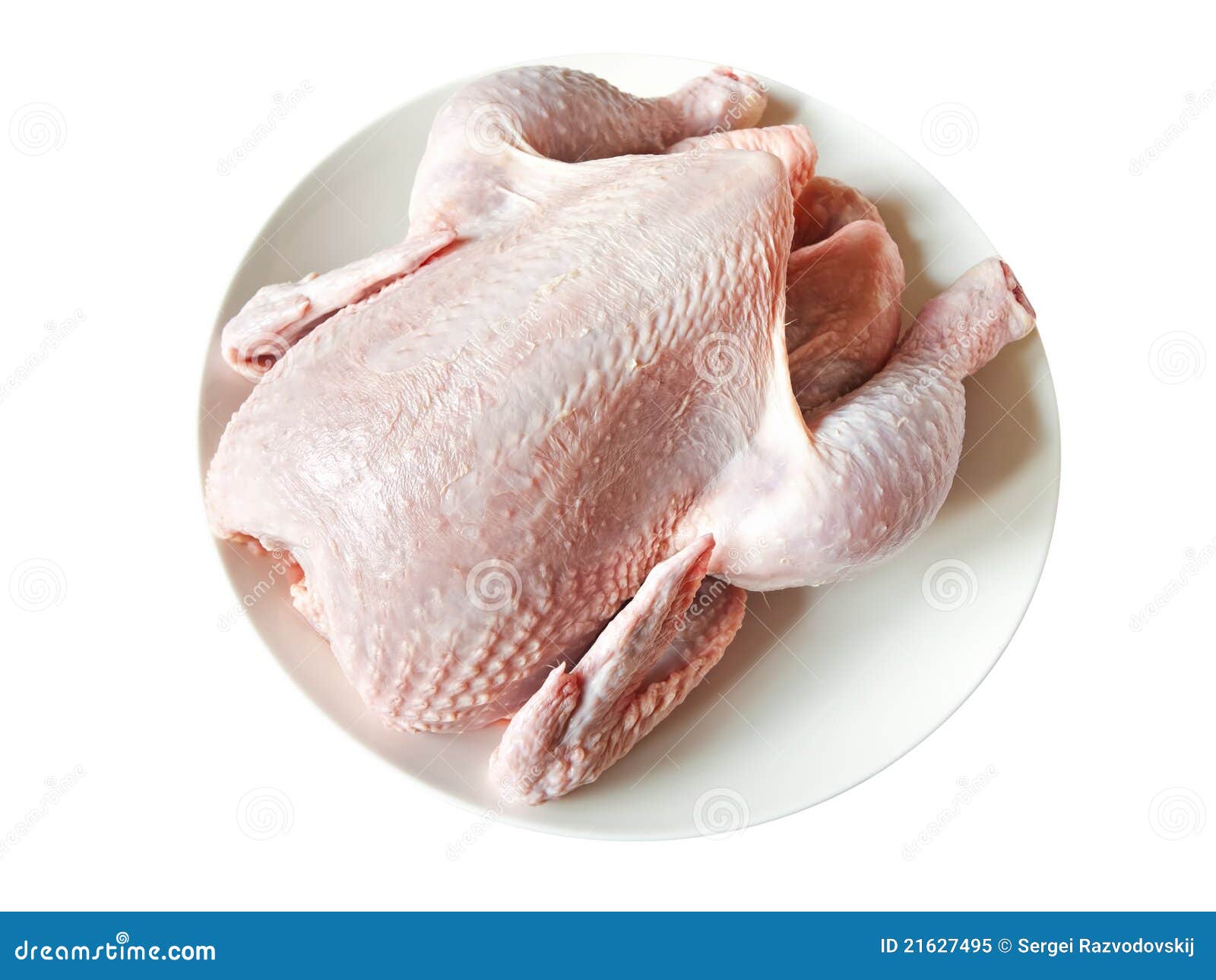 Pollo crudo imagen de archivo. Imagen de gallina, pollo - 21627495