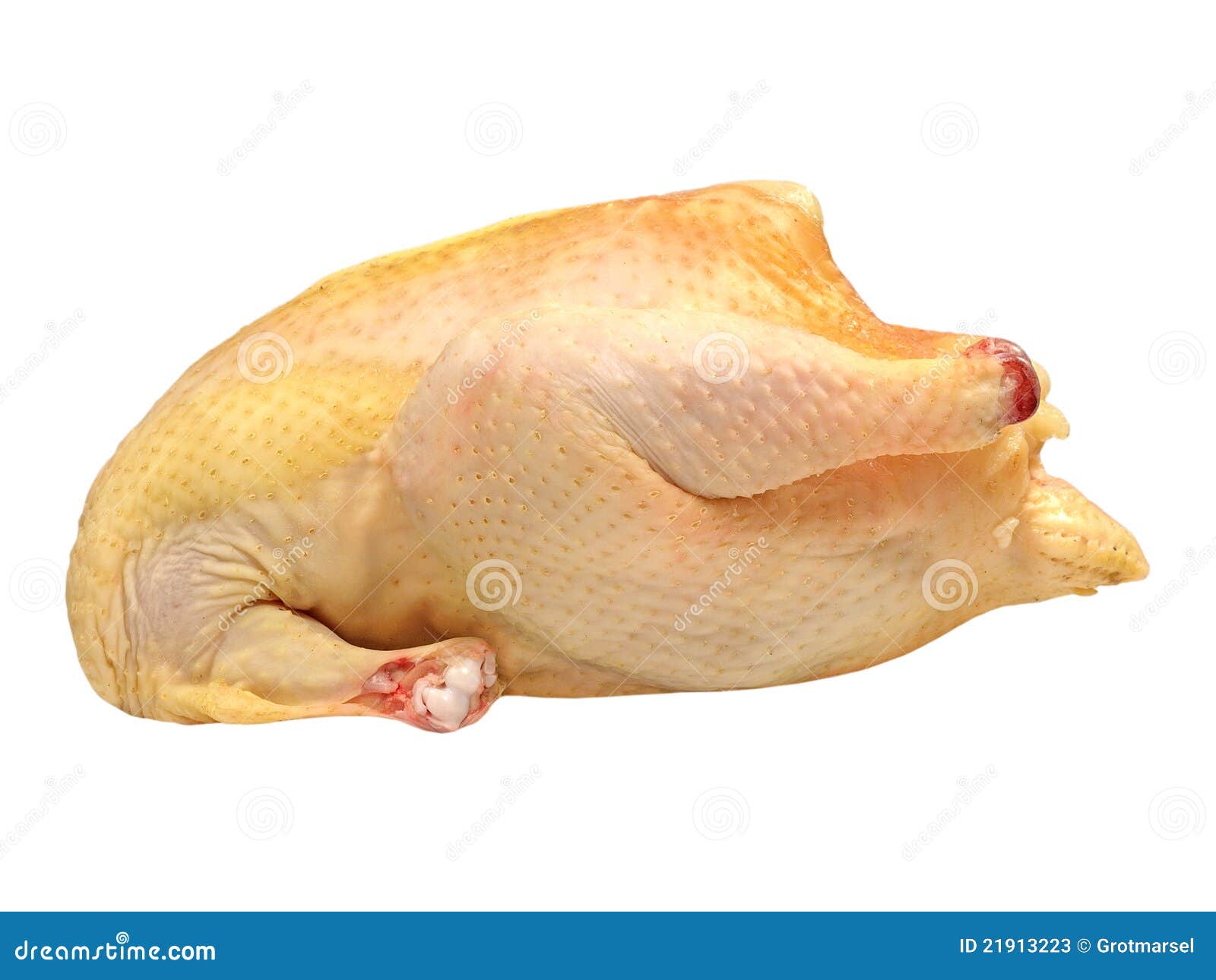 Pollo crudo. immagine stock. Immagine di pasto, cucina - 21913223
