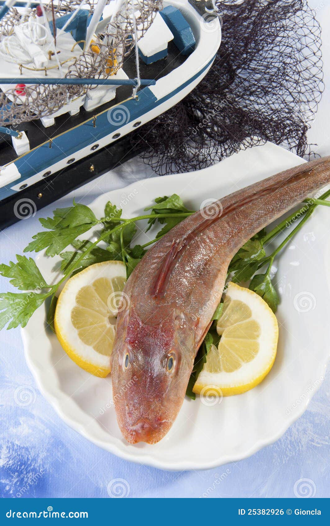 Pollo del mar foto de archivo. Imagen de criatura, sano - 25382926