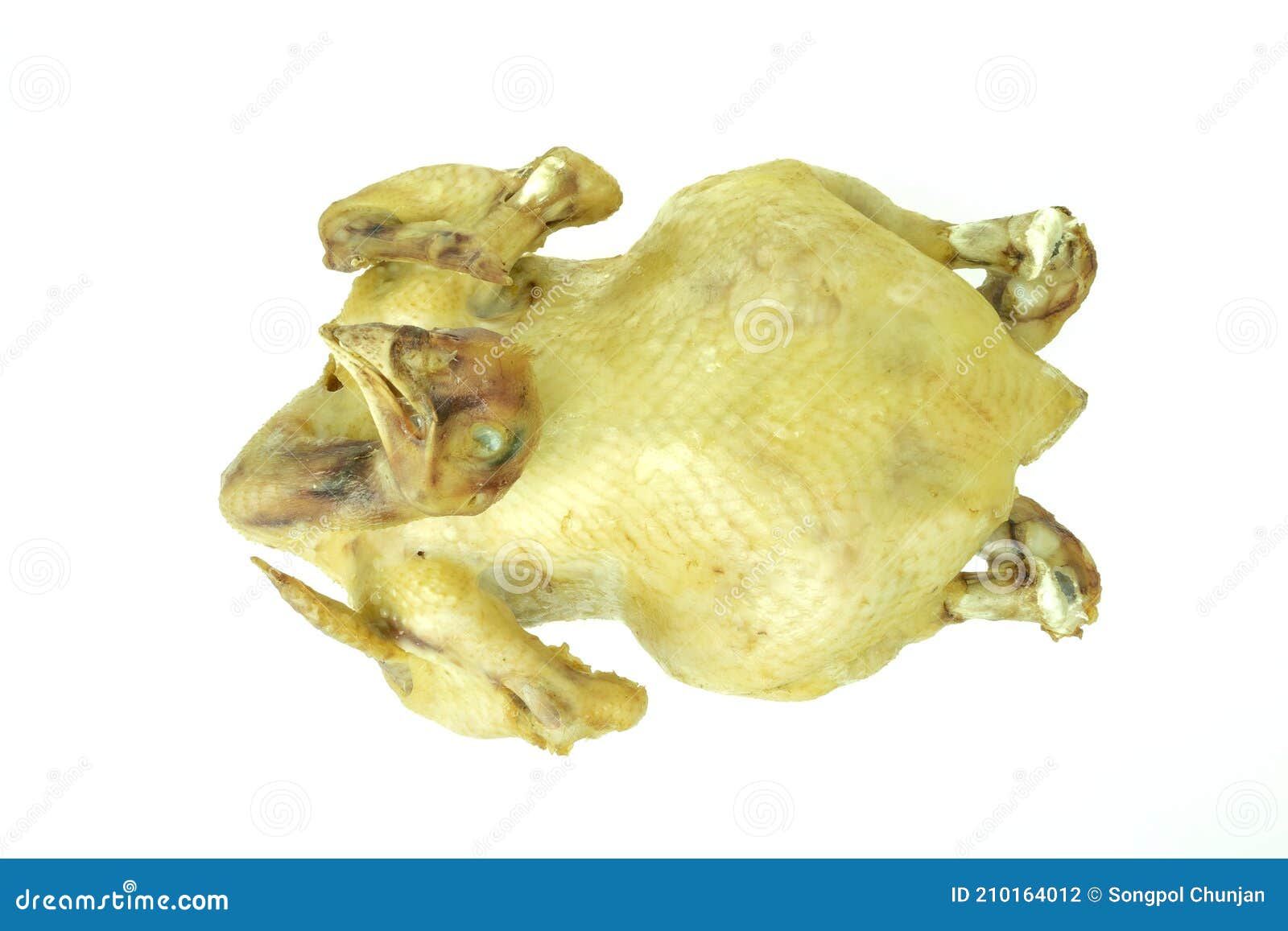 Pollo Entero Hervido Con Fondo Blanco Foto de archivo - Imagen de ...