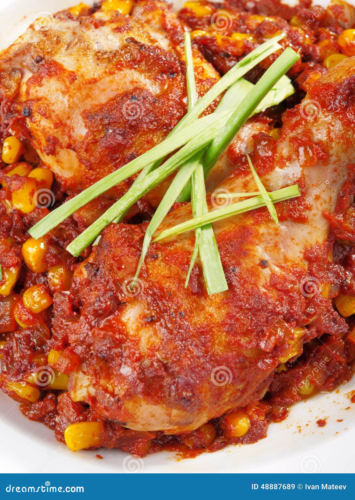 Pollo mexicano del estilo imagen de archivo. Imagen de tiro - 48887689