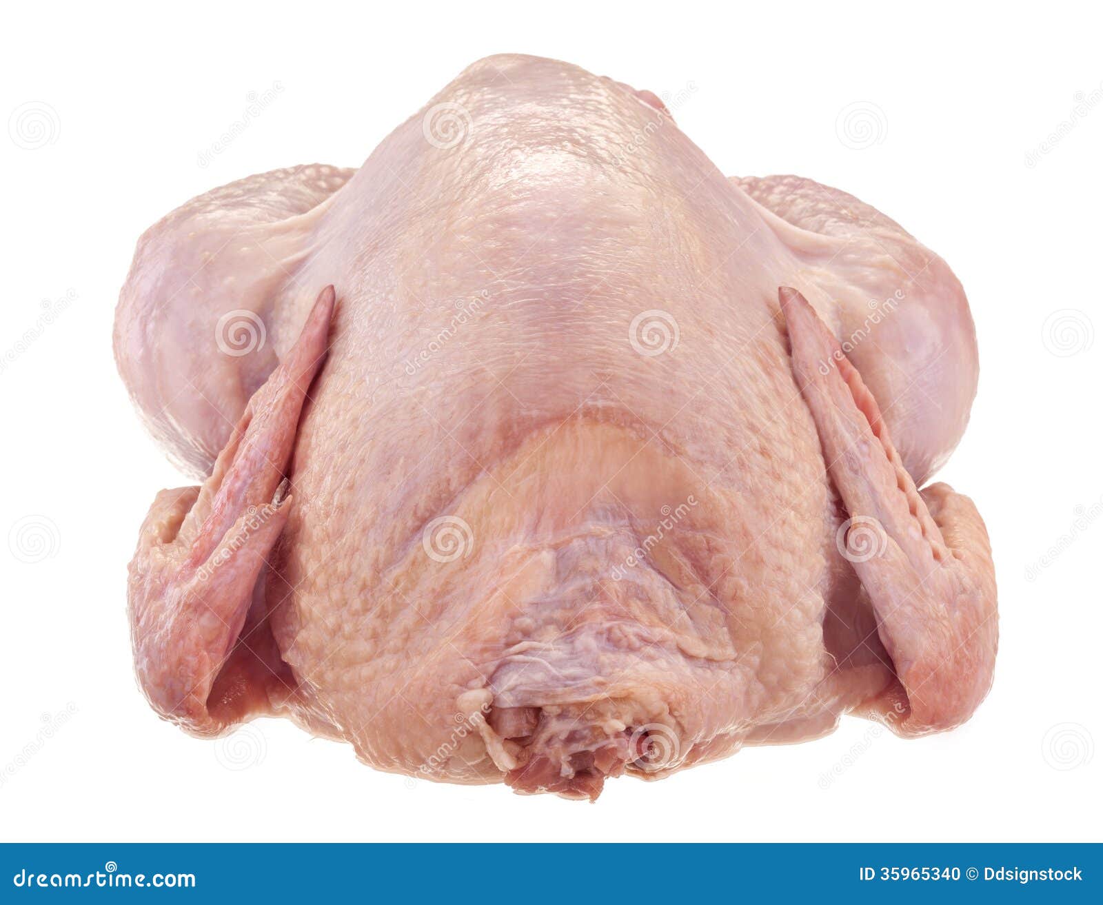 Pollo nacional fresco foto de archivo. Imagen de dieta - 35965340