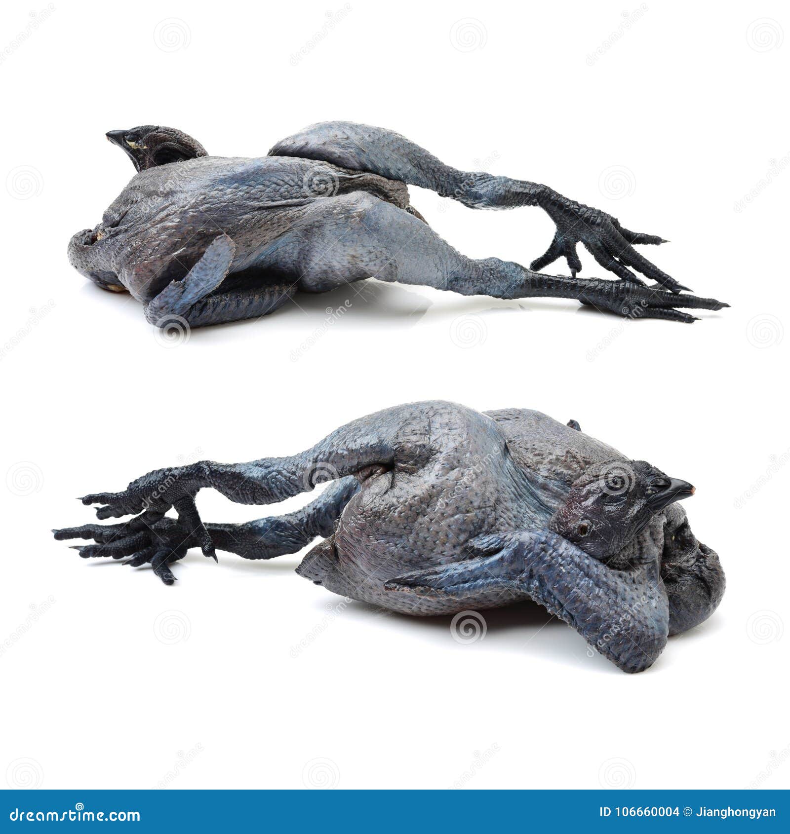 Pollo negro foto de archivo. Imagen de entero, cocina - 106660004