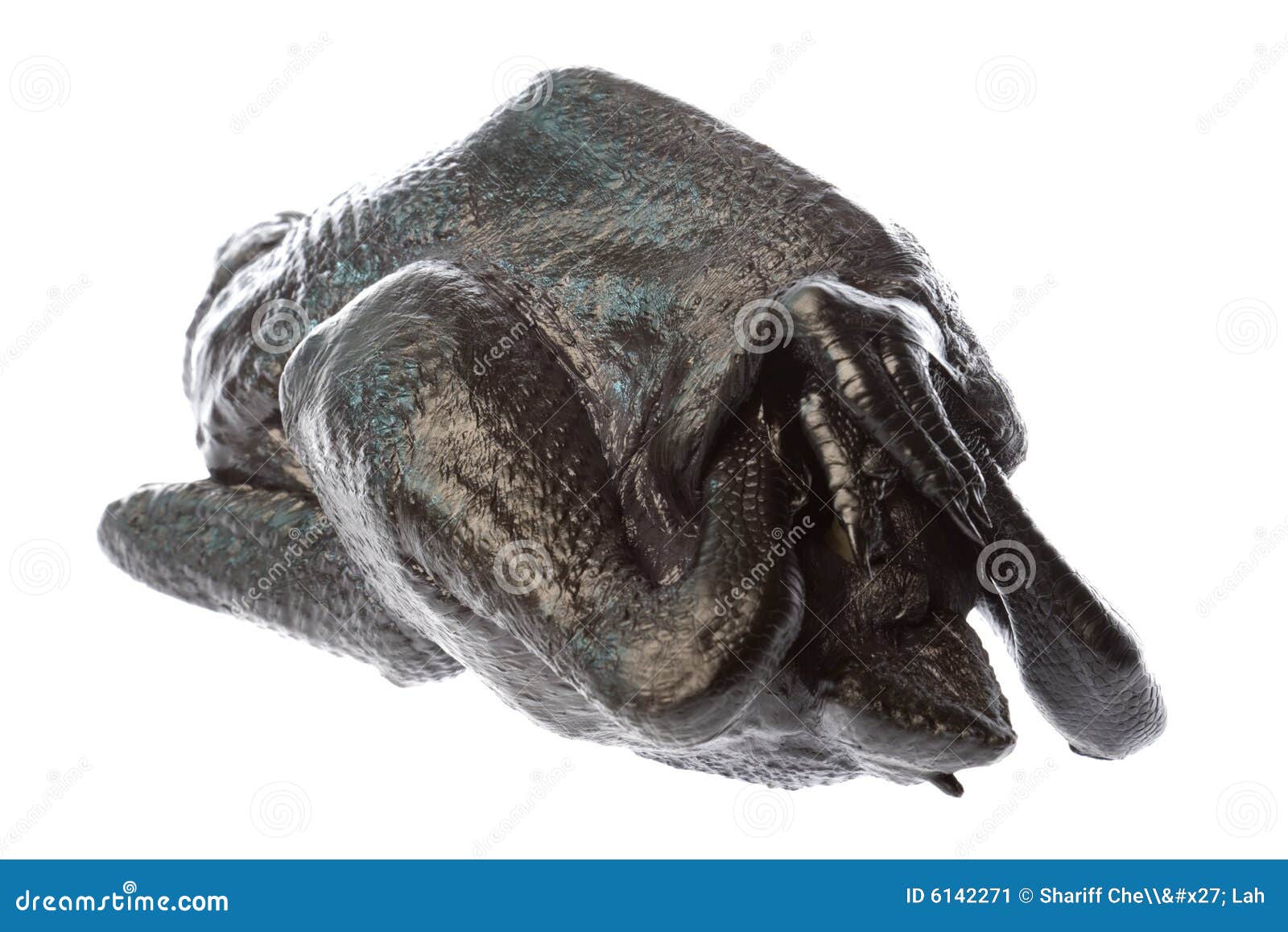 Pollo negro aislado imagen de archivo. Imagen de aislado - 6142271