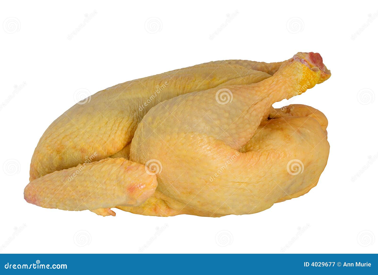 Pollo Orgánico Del Rango Libre Sin Procesar Imagen de archivo - Imagen ...