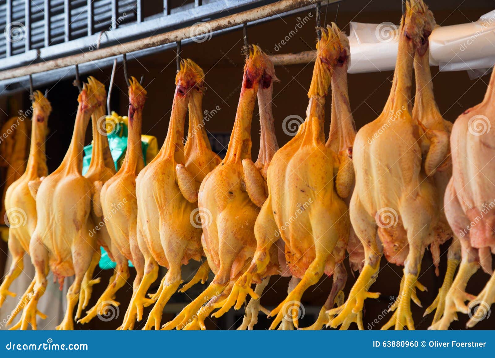 Pollo para la venta foto de archivo. Imagen de tradicional - 63880960