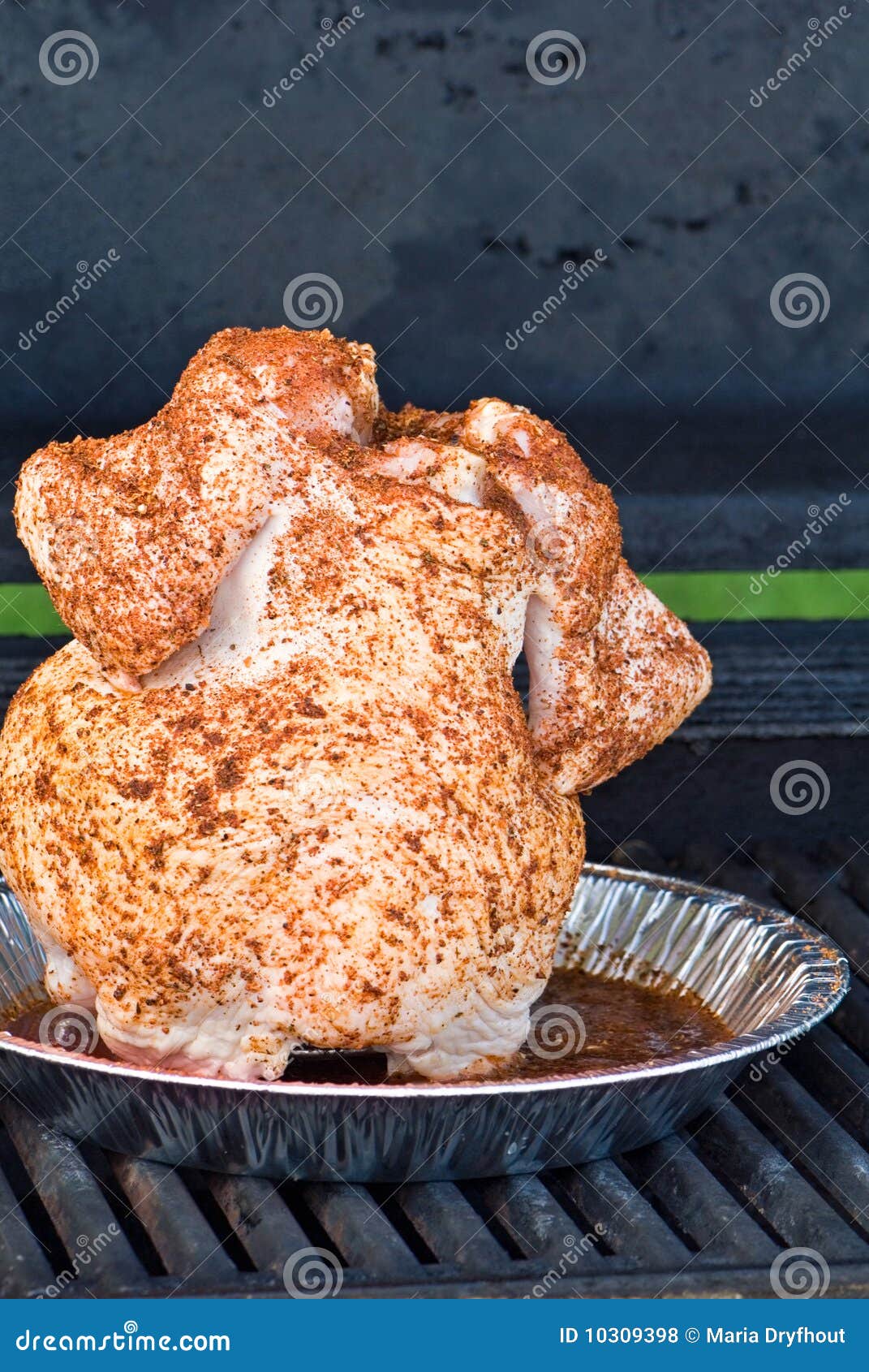 Pollo sazonado foto de archivo. Imagen de sabor, picnic - 10309398