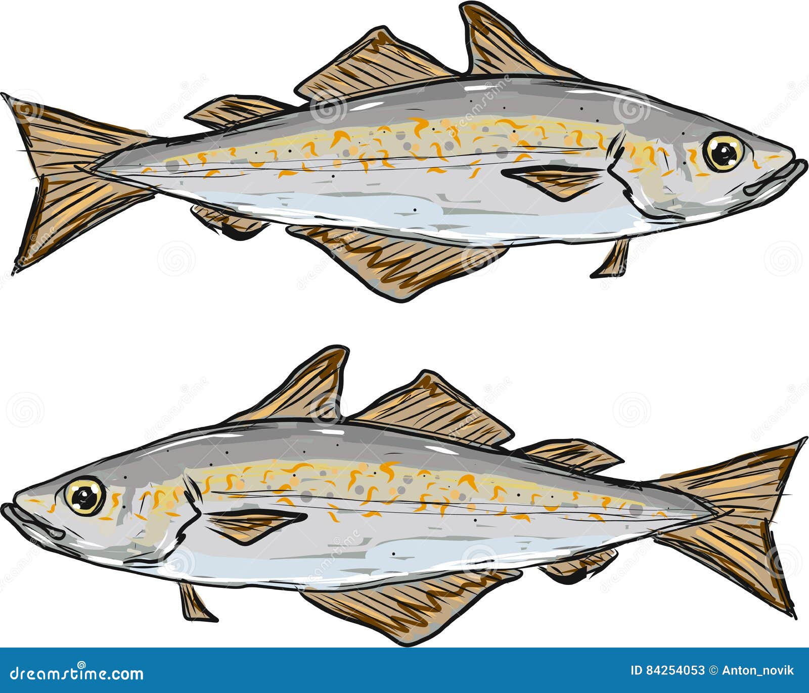 Pollock Fish Freehand Illustration Clip-art Vector Image Stock Vector ...